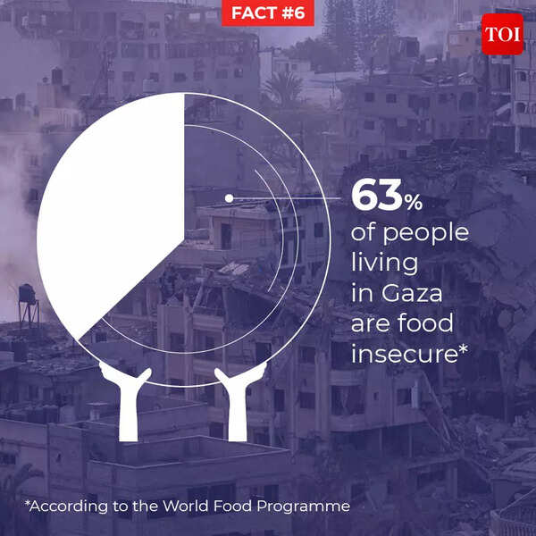 Infographic: 10 interesting facts about Gaza Strip - Times of India