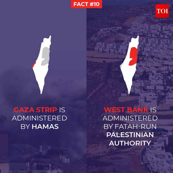 Infographic: 10 interesting facts about Gaza Strip - Times of India