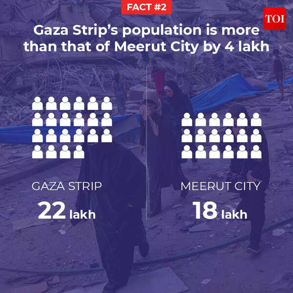 Infographic: 10 interesting facts about Gaza Strip - Times of India