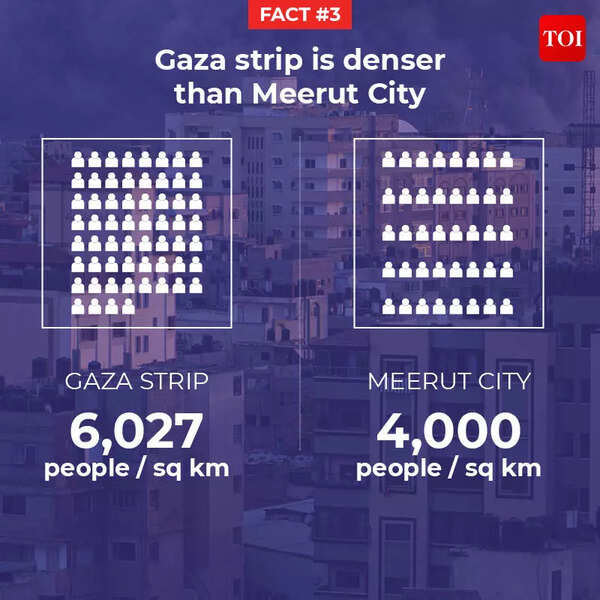 Infographic: 10 interesting facts about Gaza Strip - Times of India