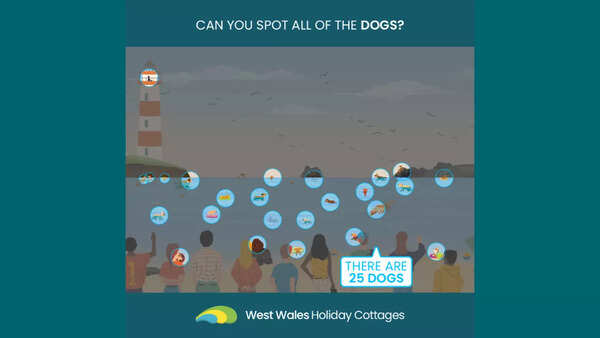 There are 25 dogs in this image; can you find them all within a minute ...