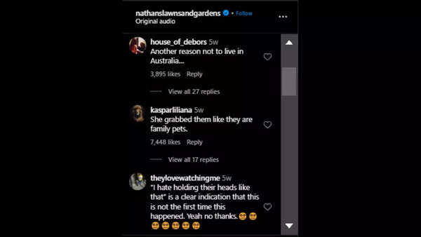 'Must be willing to create reels with me'; girl's matrimonial ad goes ...