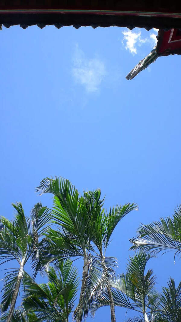 Jamie Knight visits Podar School - Times of India