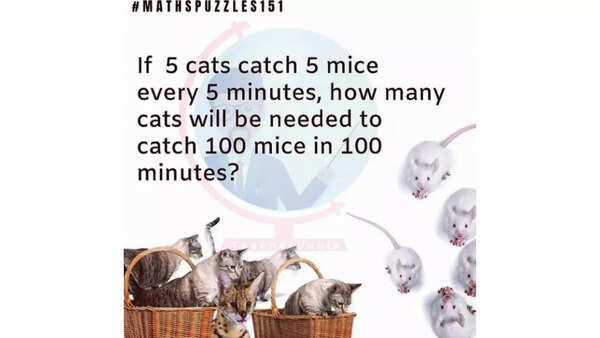 Brain Teaser: How many cats are required to catch these mice? Even the sharpest minds fail to ...