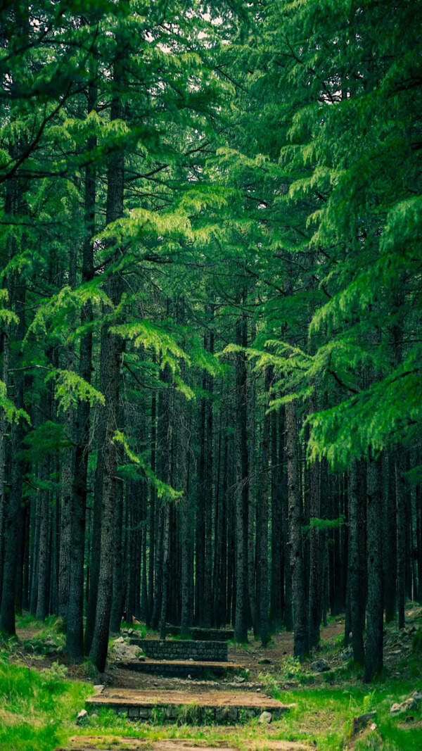 Everything you need to know about 'Castaway Diva' starring Park Eun Bin ...