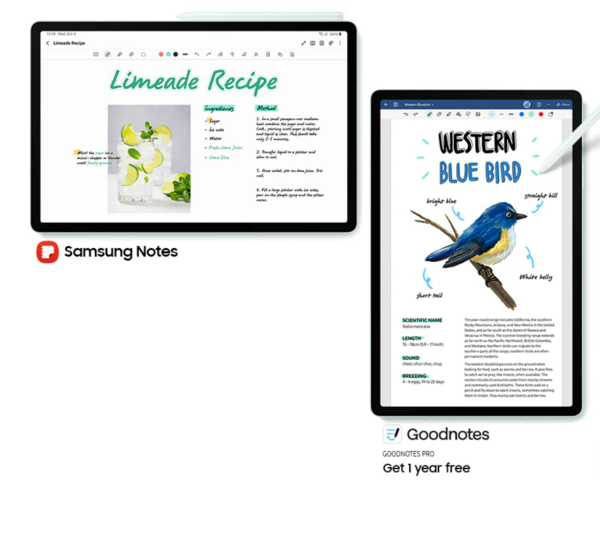 Make the most of your special occasions with the Samsung Galaxy Tab S9 ...