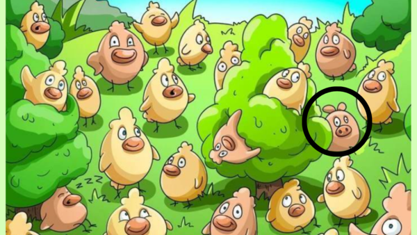 Only sharp-witted people can spot the pig among chickens within 5 ...