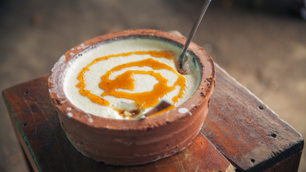 Why it is important to have curd as part of lunch daily | - The Times ...