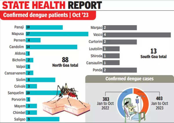 88 dengue cases in North Goa in October, merely 13 in South | Goa News - Times of India