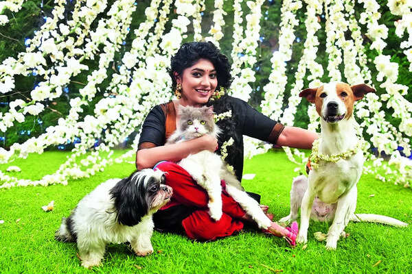 Celebrate a silent Diwali; it’s the best thing you can do for pets ...