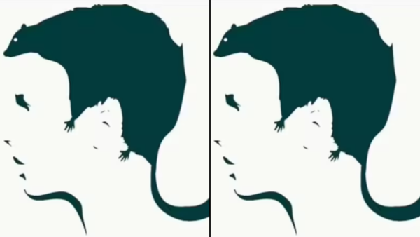 Optical Illusion: What you see first unveils your true fears | - Times ...