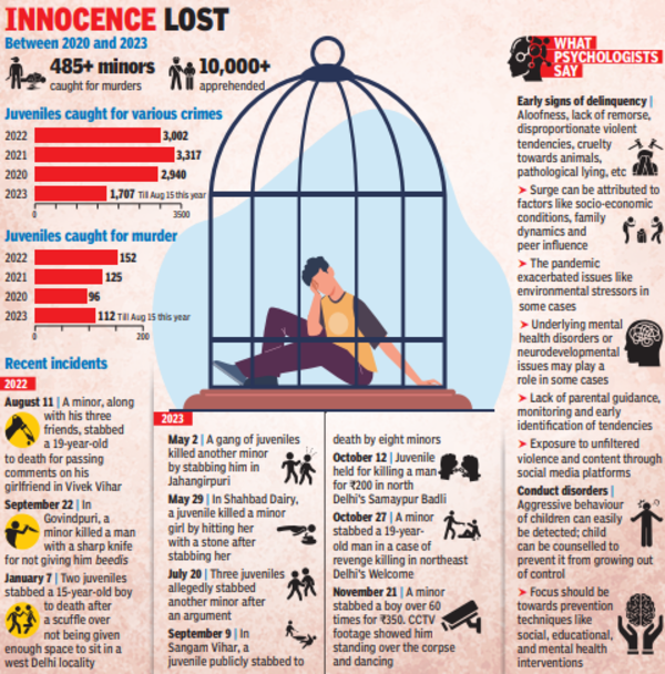 Major crimes by minors shoot up: 10 juveniles held for murder every ...