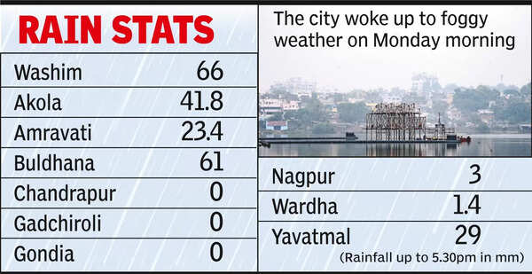 Unseasonal Rains Lash West Vid, Yellow Alert For Nagpur Today | Nagpur ...