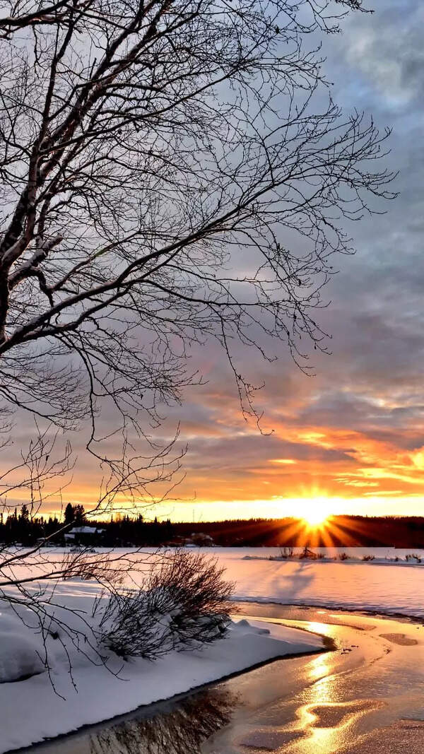 science solve our problems