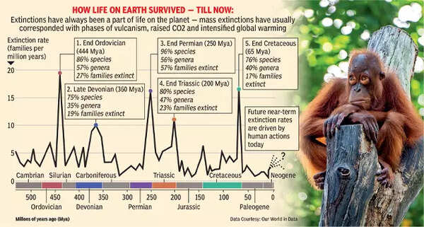 Earth: ‘Earth saw five mass extinctions due to natural change — the ...