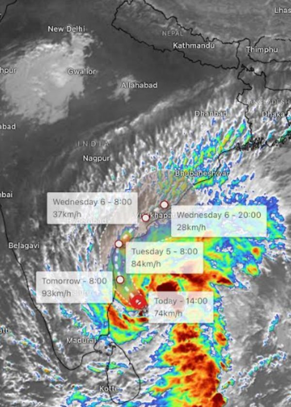 Cyclone Michuang paralyses life completely in Andhra Pradesh's Tirupati ...