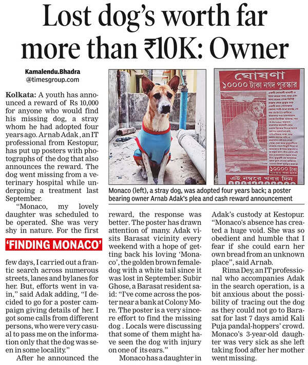 Missing Dog Monaco: Missing Dog Monaco Found 82 Days Later, 18km from ...