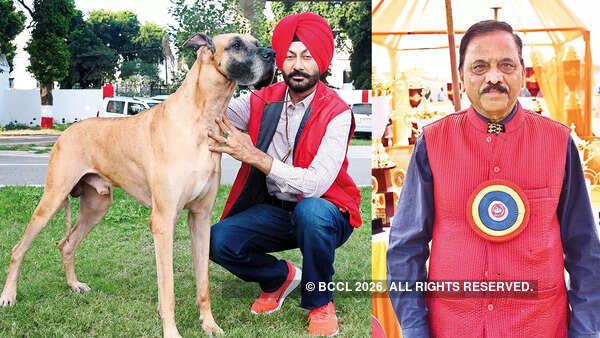 Paws and applause: It’s show time for these rare breeds of dogs ...