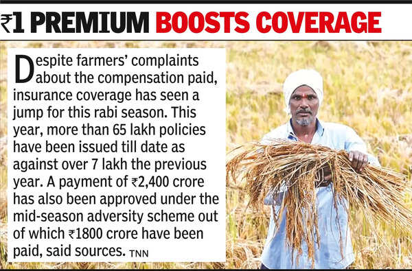 Crop Damage: Nagpur Farmer Reports 50% Crop Damage, Receives Rs 10 ...