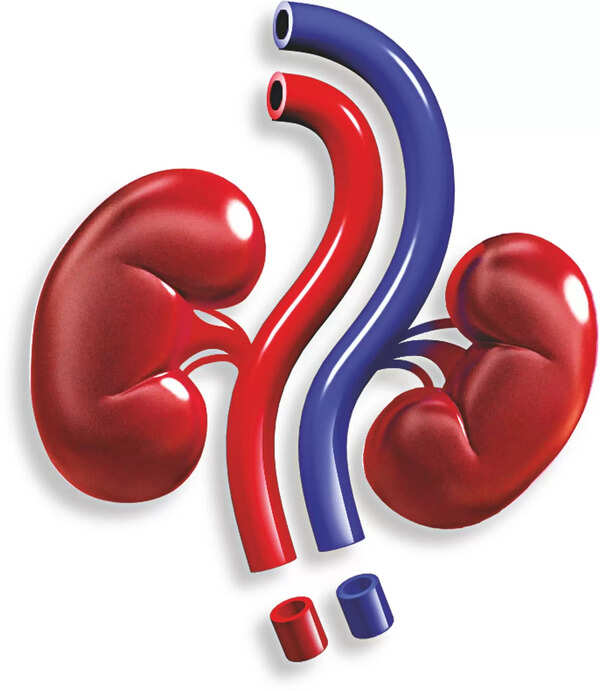 Dialysis Machines: New Dialysis Machines At Wenlock Hospital Soon ...