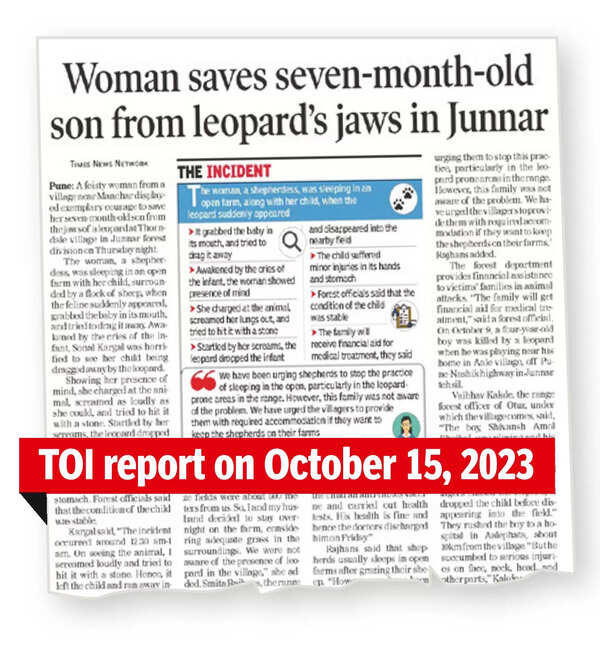 Leopard Attack: 5-year-old Seriously Injured In Leopard Attack In Cane ...