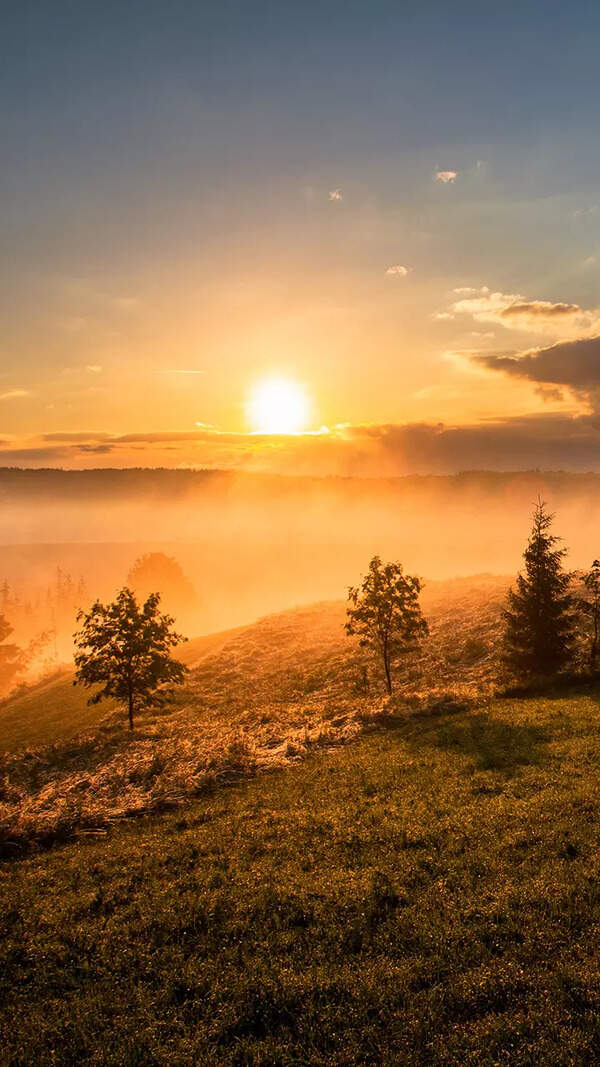 Whitener addiction on the rise among teens - Times of India