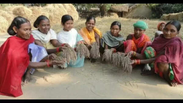 Meet the "Queen of Millets", a tribal woman who preserves 30 types of ...