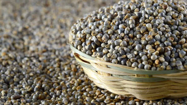 Bajra Benefits :10 Reasons why Bajra was the best winter staple in ...