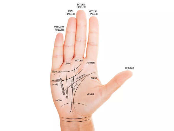 How to check compatibility with your partner, as per palmistry - Times ...