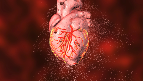 Heart Problem Signs: 6 signs that indicate heart problems | - Times of ...