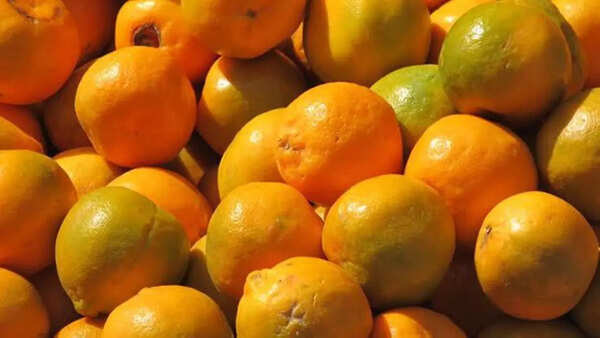 What are the differences between Orange, Mausambi, and Kinnow orange? - Times of India