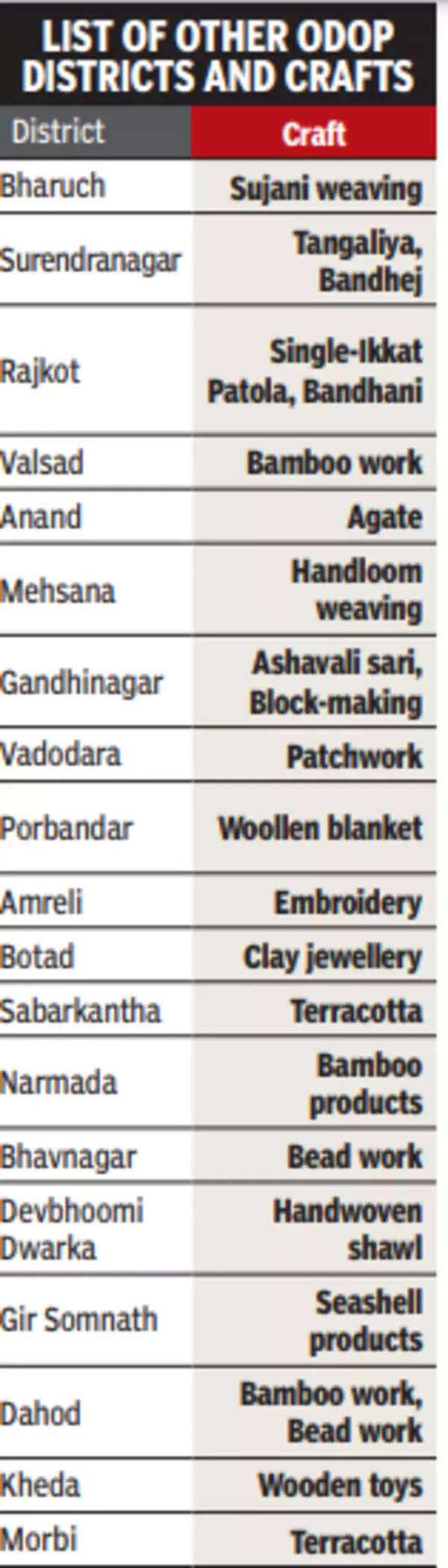 Lending crafts of state a modern touch | Ahmedabad News - Times of India