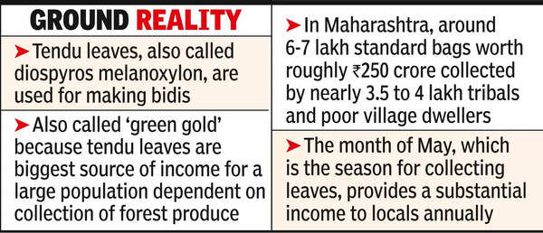 Forest Rights Act: Forest Rights Act Supporters Demand Forest ...