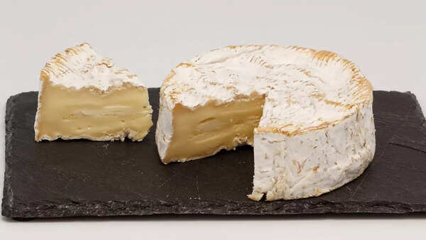 How Camembert cheese led to the saving of a million lives - Times of India