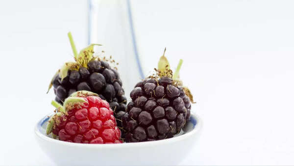 What is Tayberry? What makes this rare berry so unique? - Times of India