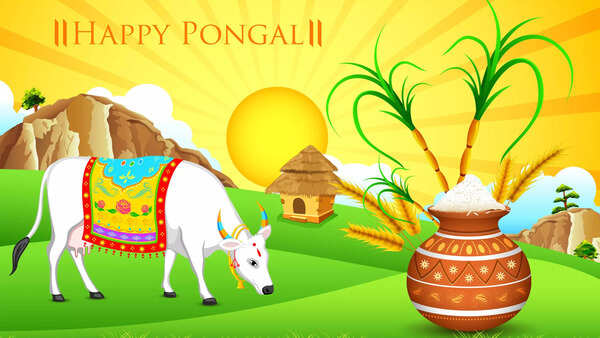 Happy Pongal 2025: Best messages, quotes, wishes, and images to share ...