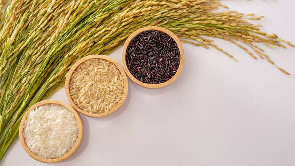 The Significance of Rice in Makar Sankranti and Pongal Festivals ...