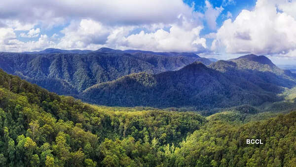 Dinosaur-era superstructure in the Pacific Ocean "still forming ...