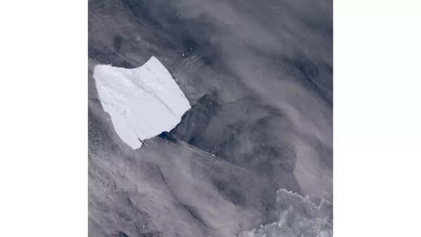 Photos: The last voyage of Earth's largest Iceberg A23a - Times of India