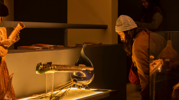 Taus, Esraj, Tuila: Rare musical instruments on display in Delhi ...