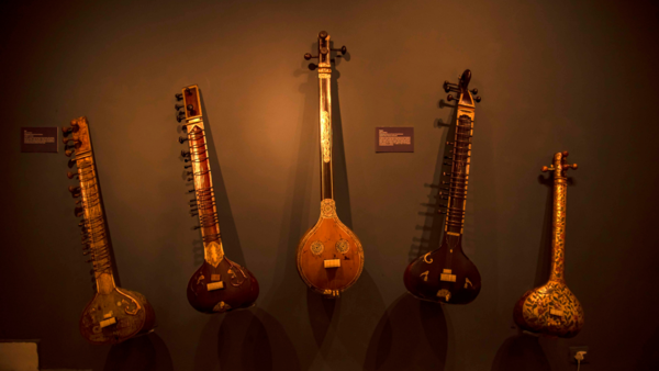 Taus, Esraj, Tuila: Rare musical instruments on display in Delhi ...