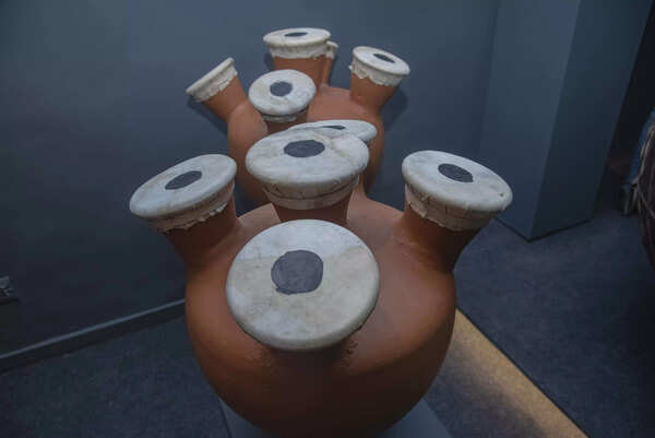 Taus, Esraj, Tuila: Rare musical instruments on display in Delhi ...