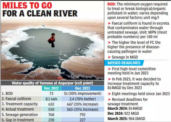 Yamuna: Yamuna River Pollution: Ground Reality Contradicts Committee's Claims | Delhi News ...