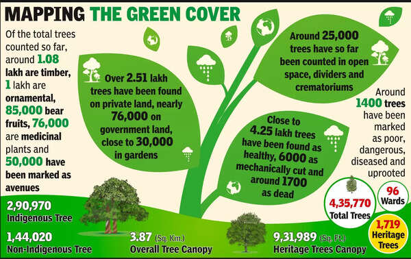 Tree Census: Tree Census: 4 - Indore Smart City Development Limited ...