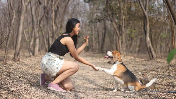 Neo and I love a morning run on the tekdi: Ritika Shrotri | - Times of ...