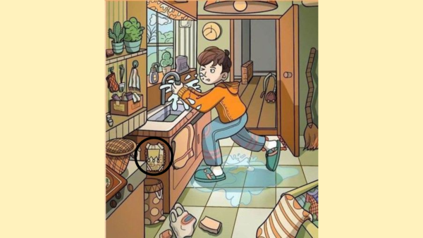 Optical Illusion: Those with miraculous eyesight can spot the crown in ...