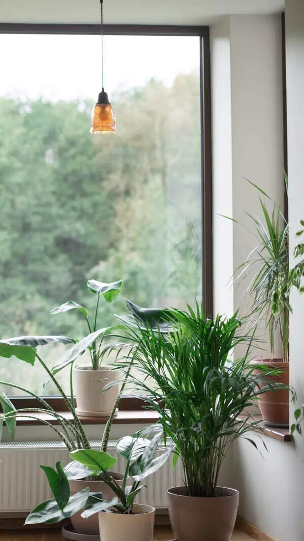 Aditya Roy Kapur opts body sculpting for 'Fitoor' | Hindi Movie News ...