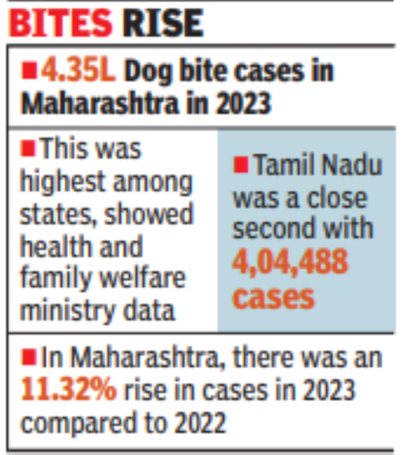 30 human deaths caused by rabies in Maharashtra in 2023, up from 10 in ...