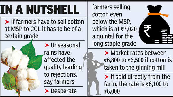 Traders Buying Cotton Below MSP: Act against traders buying cotton ...