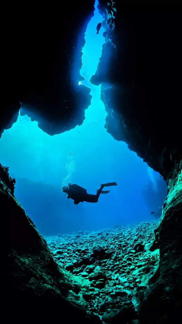 Actor Bala introduces his wife Elizabeth; wedding reception photos go ...